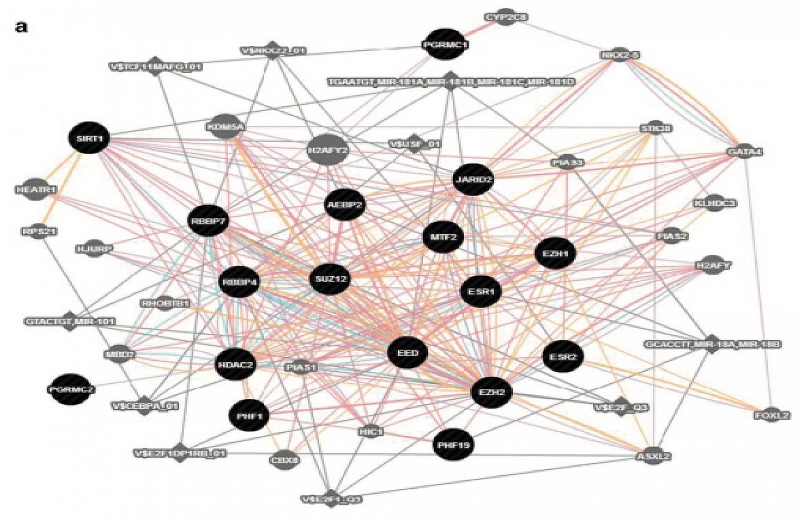 TPM mais grave: ciência descobre gene que causa transtorno | Só Notícia Boa