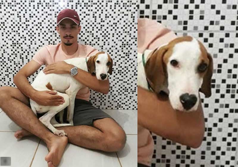 Estudante adota cão que salvou com parada cardíaca na rua: vídeo - Só ...