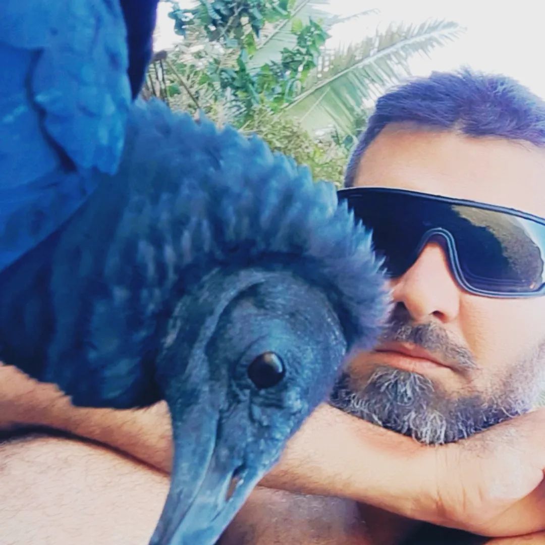 Instrutor de parapente adota bebê urubu achado no lixo e o ensina a ...