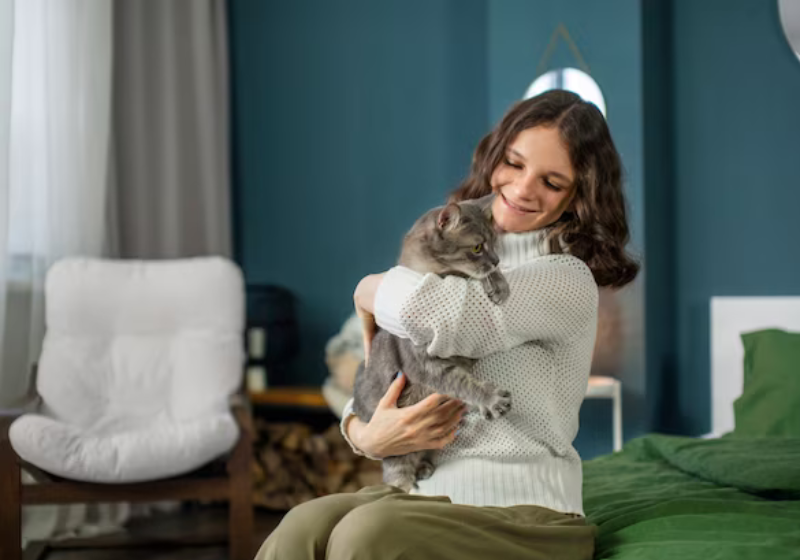 Ser babá de gato é opção de trabalho e renda para o fim de ano | Só ...