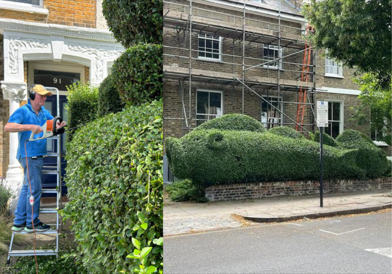 Homem transforma árvores em obras de arte; homenagem à mulher | Só ...