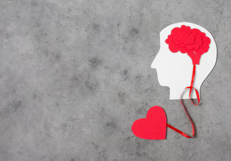 Sabia que existem seis tipos de amor? Ativam áreas diferentes do ...